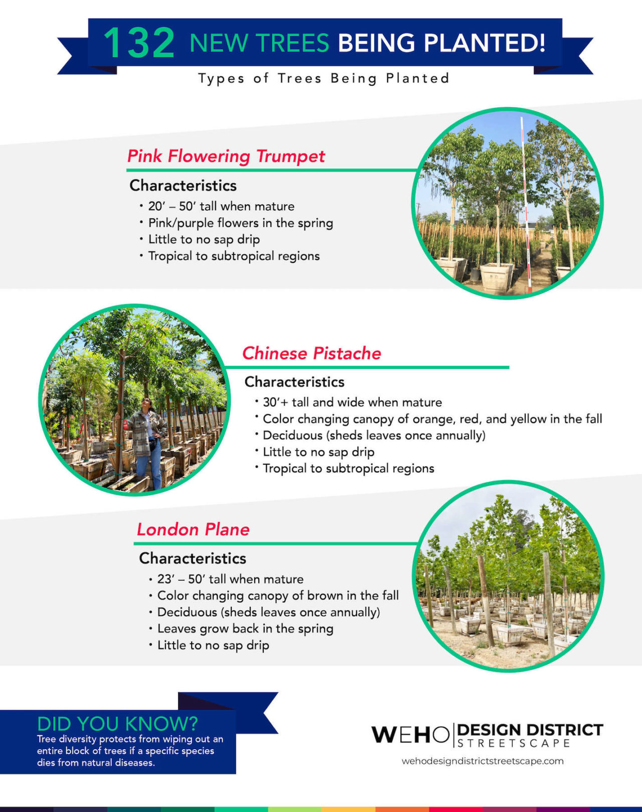 WEHO Design District Streetscape